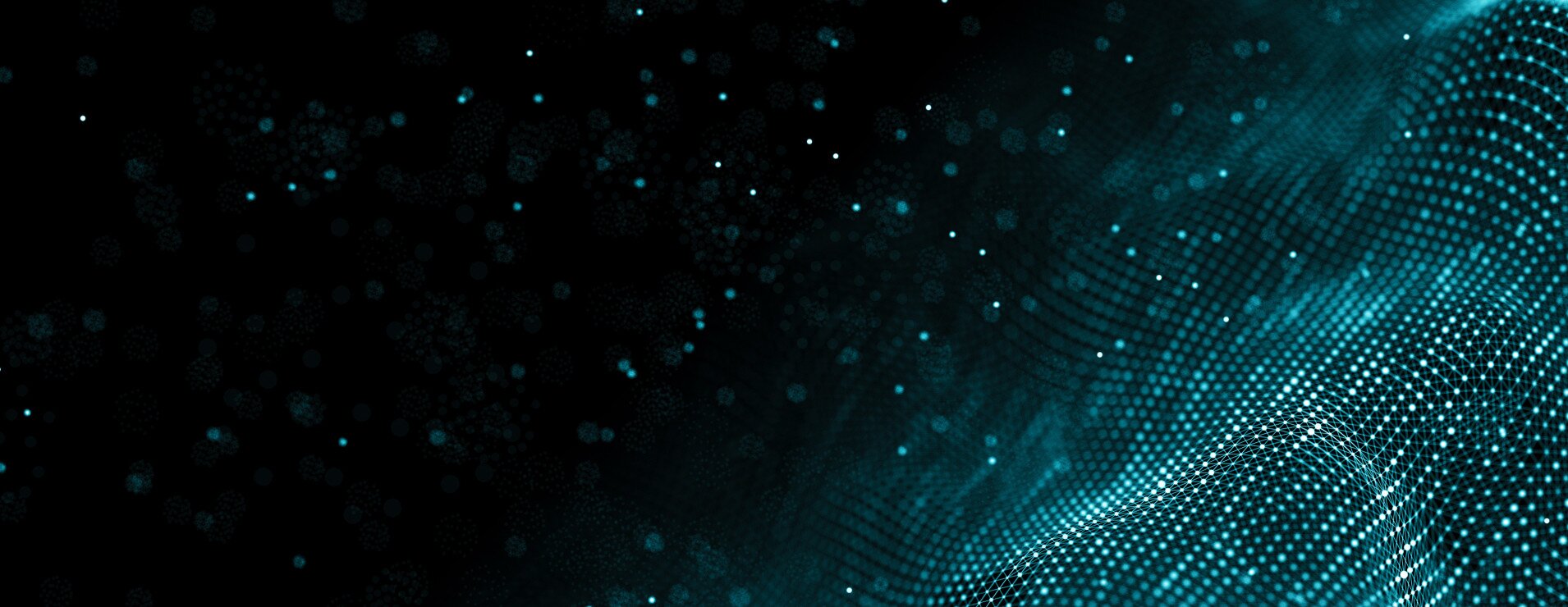 Software Audit | Netmatters