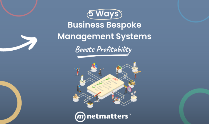 5 Ways Business Management Systems Boost Profitability | Netmatters