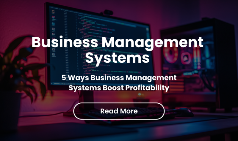 5 Ways Business Management Systems Boost Profitability | Netmatters