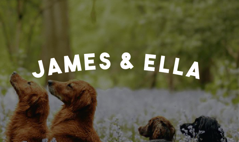 James and Ella Case Study | Netmatters