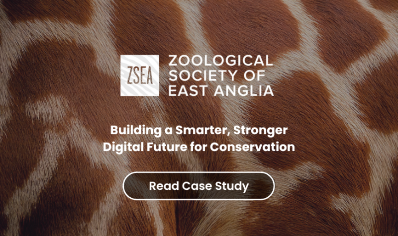 ZSEA IT Support Case Study | Netmatters | Netmatters